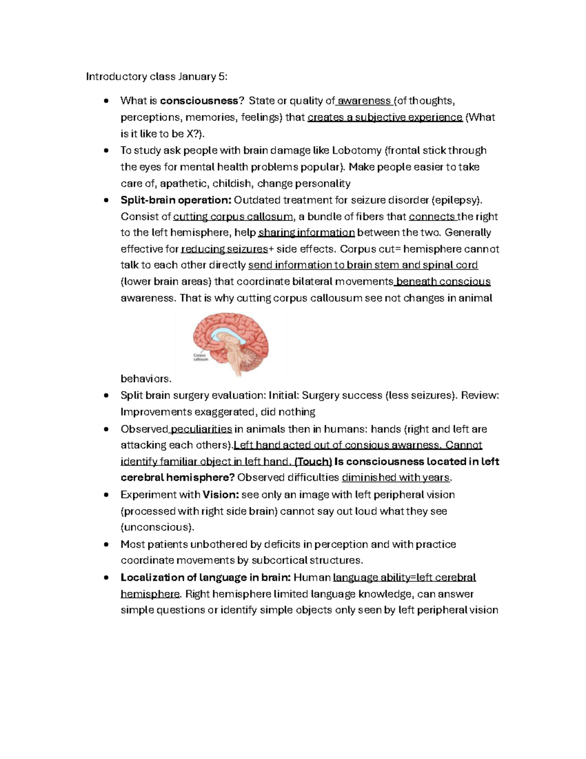 Behavioral Neuroscience: Understanding Consciousness and Brain Function ...