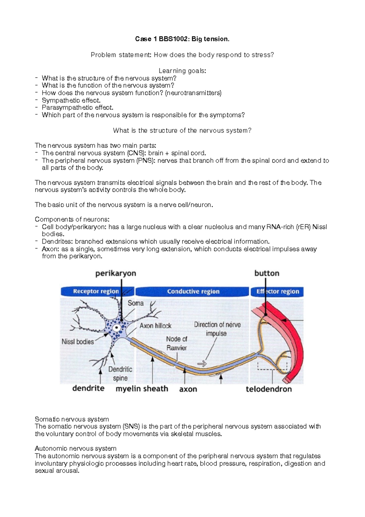 Case 1 Analysis: Nervous System Response to Stress - BBS1002 - Studeersnel