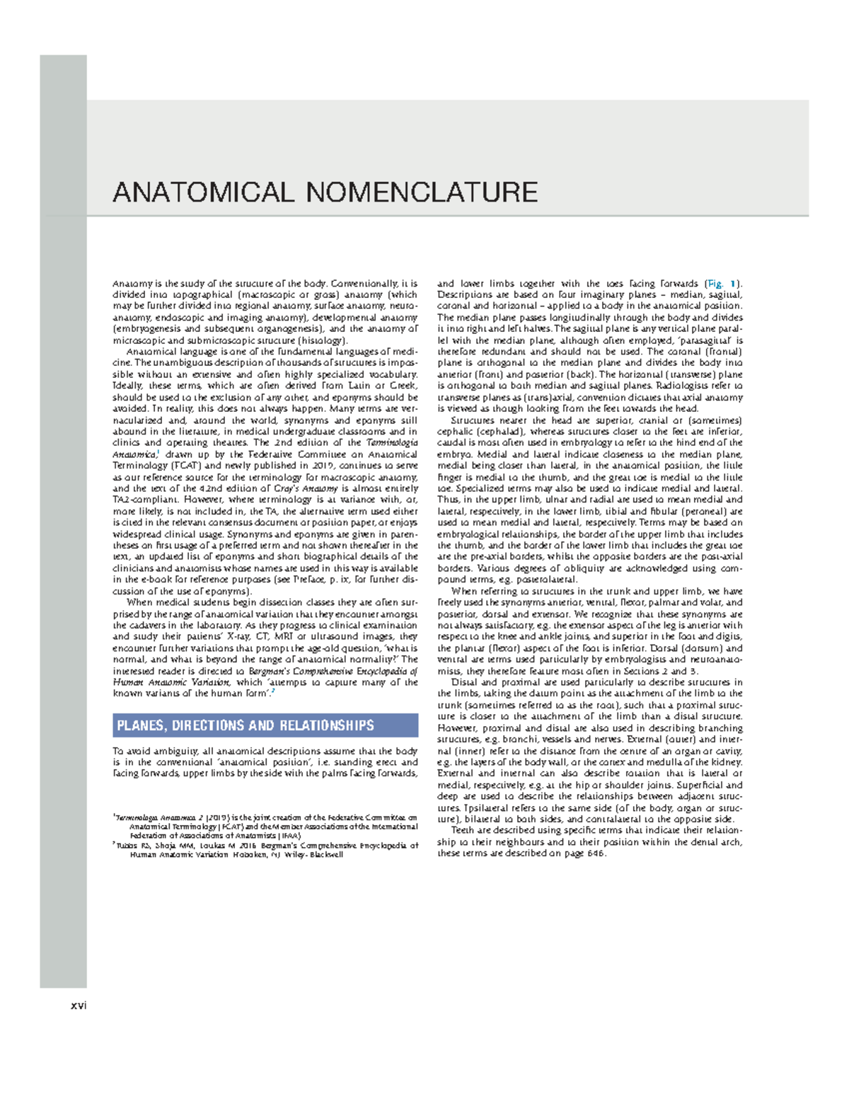 Anatomical Nomenclature and Terminology in Anatomy (ANAT 101) - Studocu