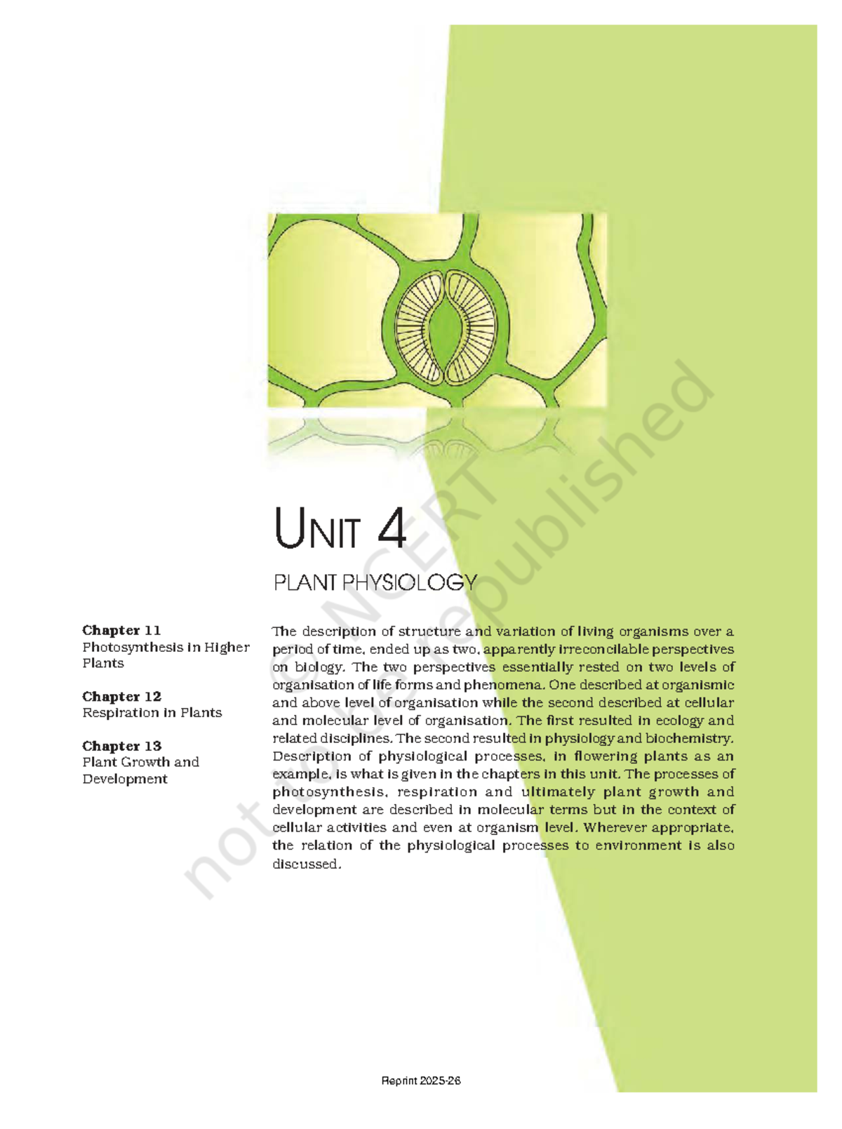 Unit 4: Plant Physiology - Photosynthesis Overview - Studocu