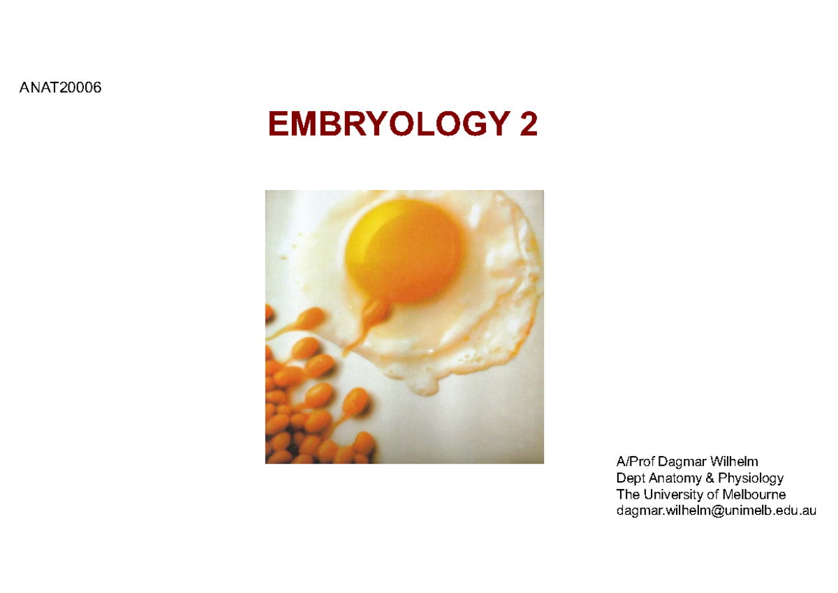 ANAT2000: Insights into Embryology-2 for Semester 2, 2024 - Studocu