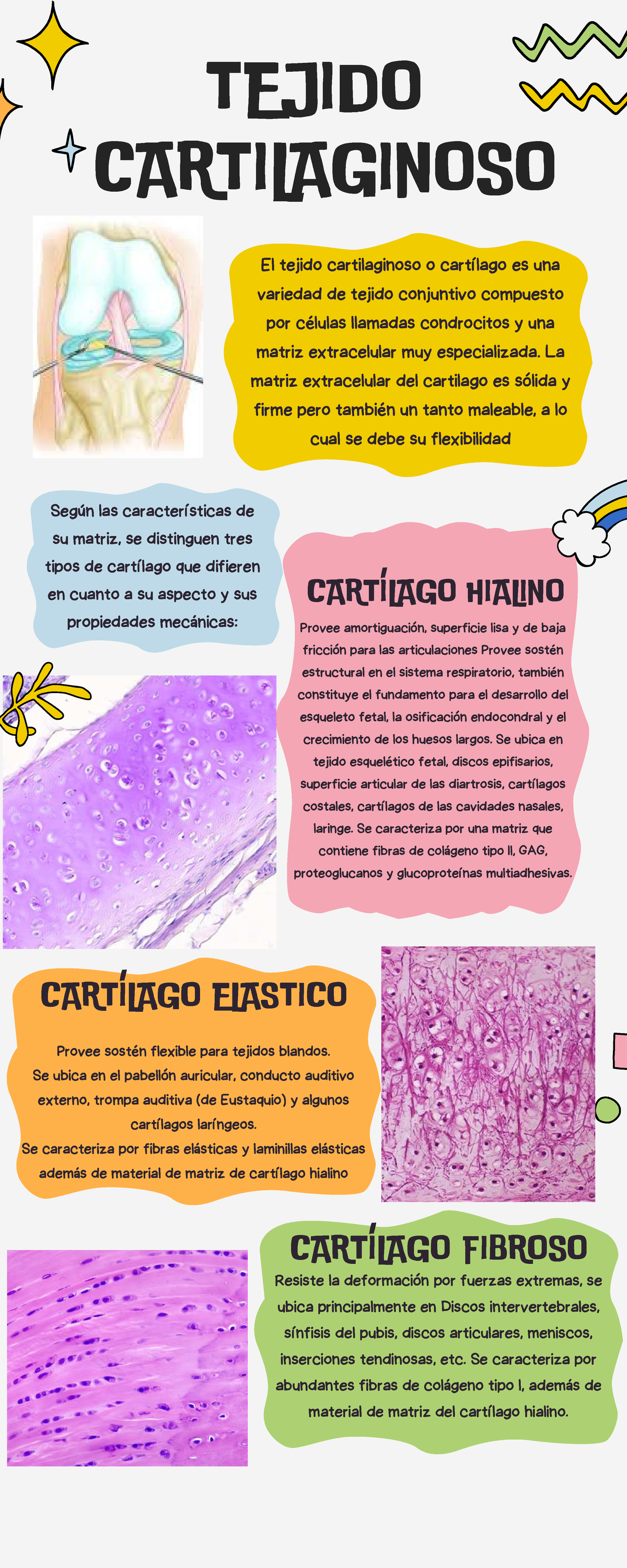Infograf%C3%ADa%20de%20Educaci%C3%B3n%20Creativa%20Listado%20de%20Ideas ...