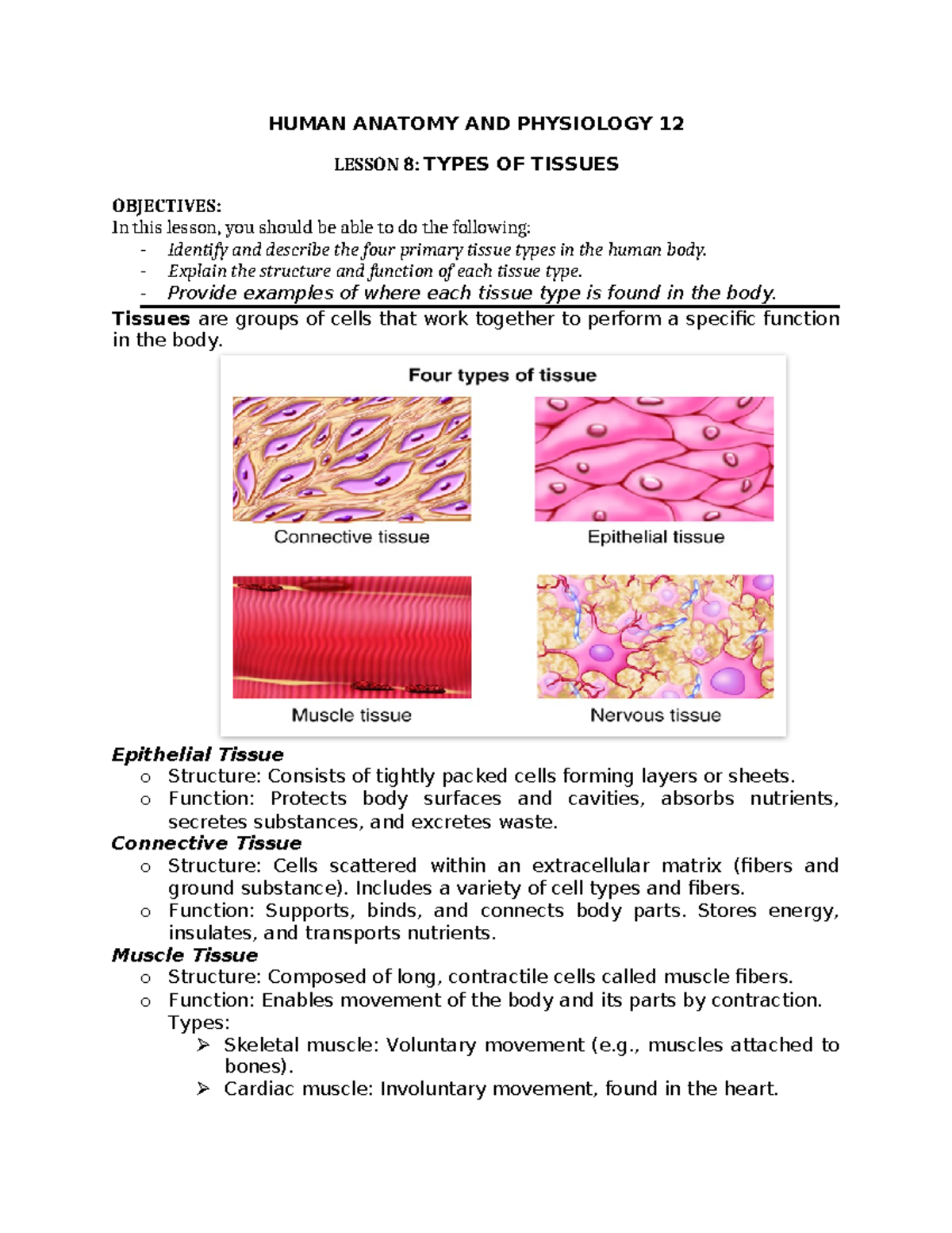 HUMAN ANATOMY AND PHYSIOLOGY 12: LESSON 8 - TYPES OF TISSUES - Studocu