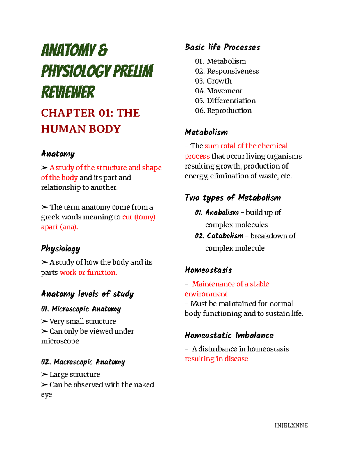 Anatomy & Physiology Prelim Reviewer: Chapter 01 - The Human Body - Studocu