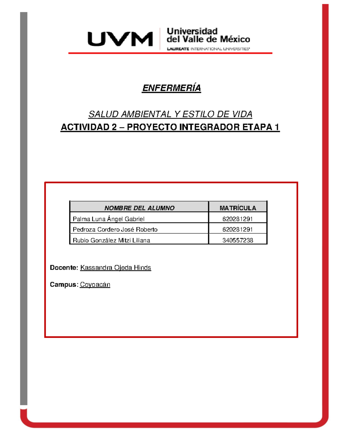 ENFERMERÍA SALUD AMBIENTAL Y ESTILO DE VIDA: PROYECTO INTEGRADOR ETAPA 1 - Studocu
