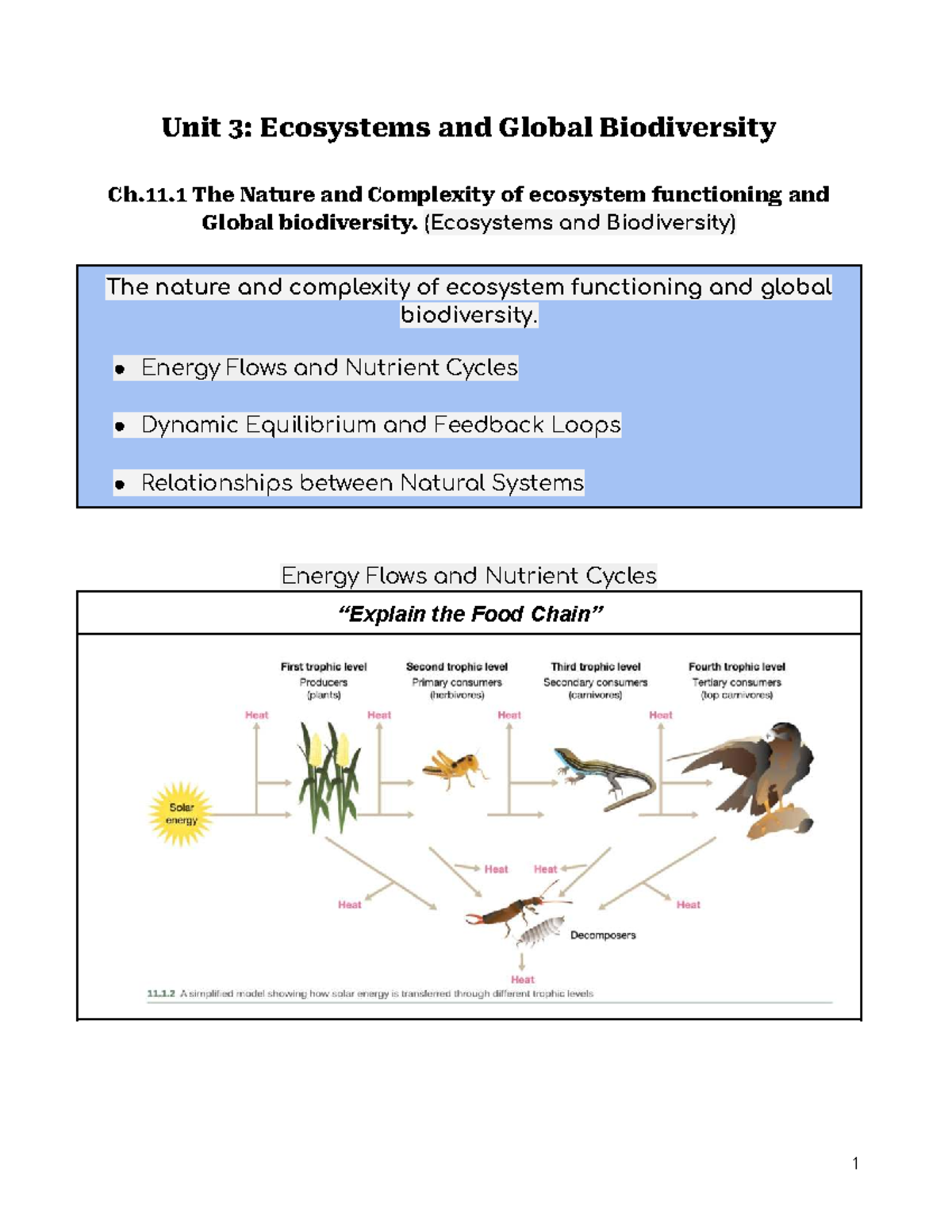 Yr. 12 Geography Unit 3: Ecosystems & Global Biodiversity Overview ...