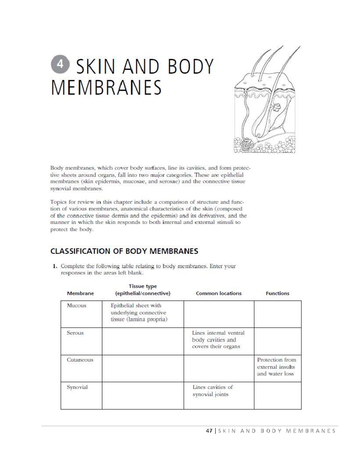 Workbook 04: Skin and Body Membranes Overview - Studocu