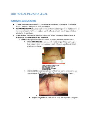 Alumbramiento Normal Y Patológico - RESÚMEN DE GINECOLOGÍA Y ...