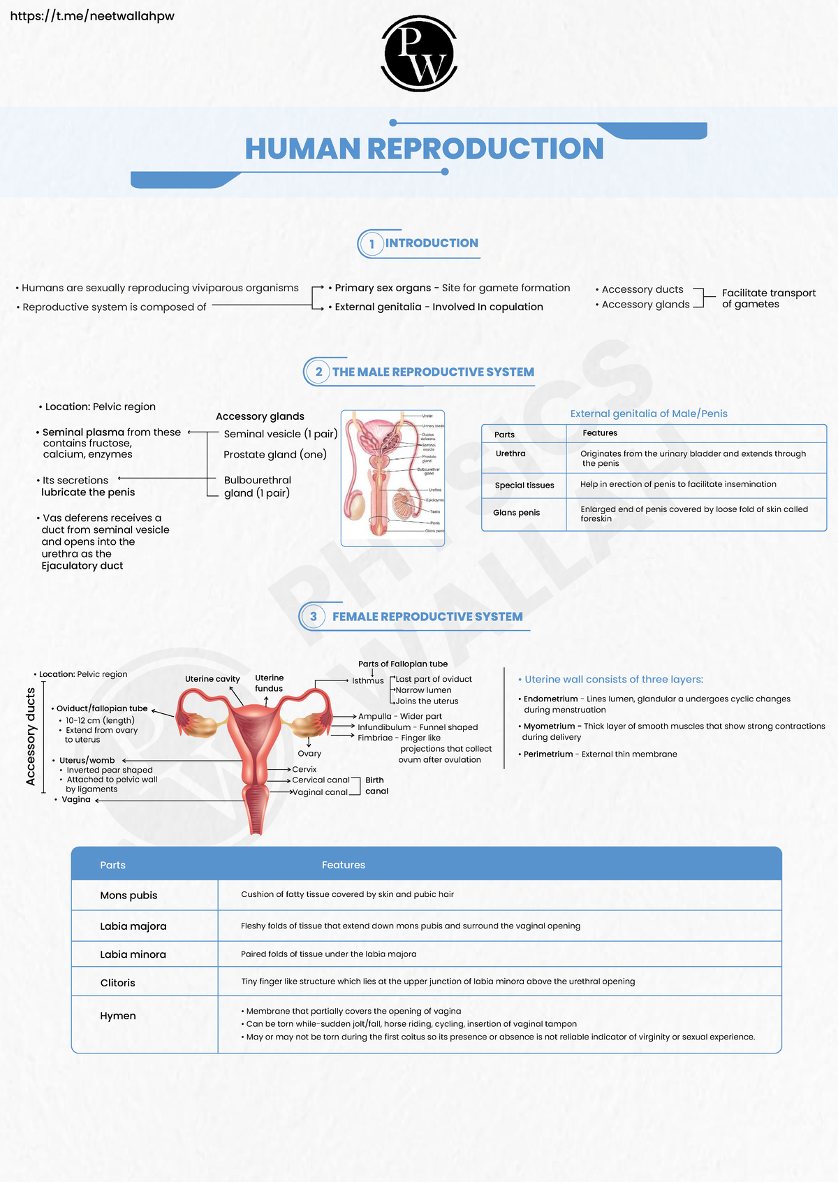 ZOOLOGY CH-1: SHORT NOTES ON HUMAN REPRODUCTION - Studocu
