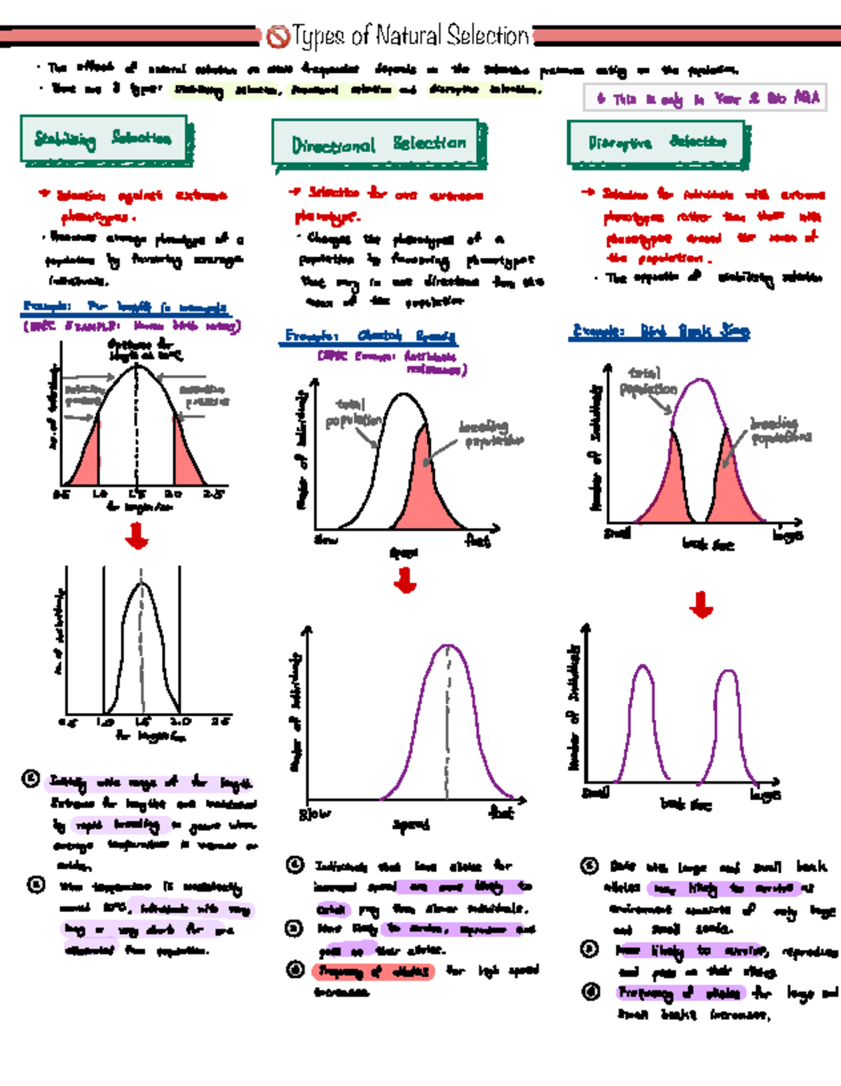 Types of Natural Selection - Year 2 Bio AQA Fact Recall - Studeersnel