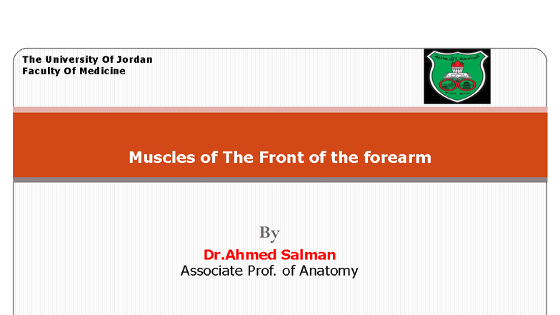 Muscles of the Forearm (Anatomy 101) - Anterior Compartment Overview ...