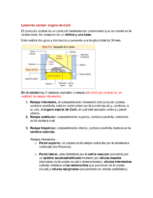 Oviducto y Trompas Uterinas - OVIDUCTO Y TROMPAS UTERINAS. El oviducto ...