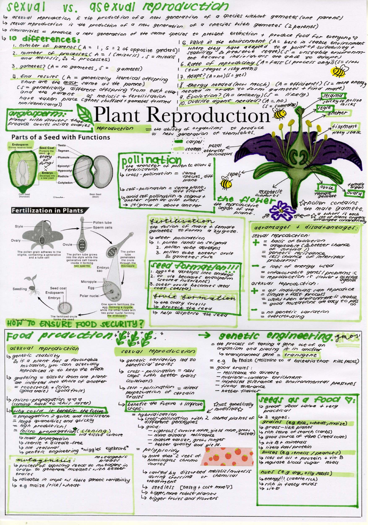 A3 Biology 12 - Summary of Sexual vs. Asexual Reproduction - Studocu