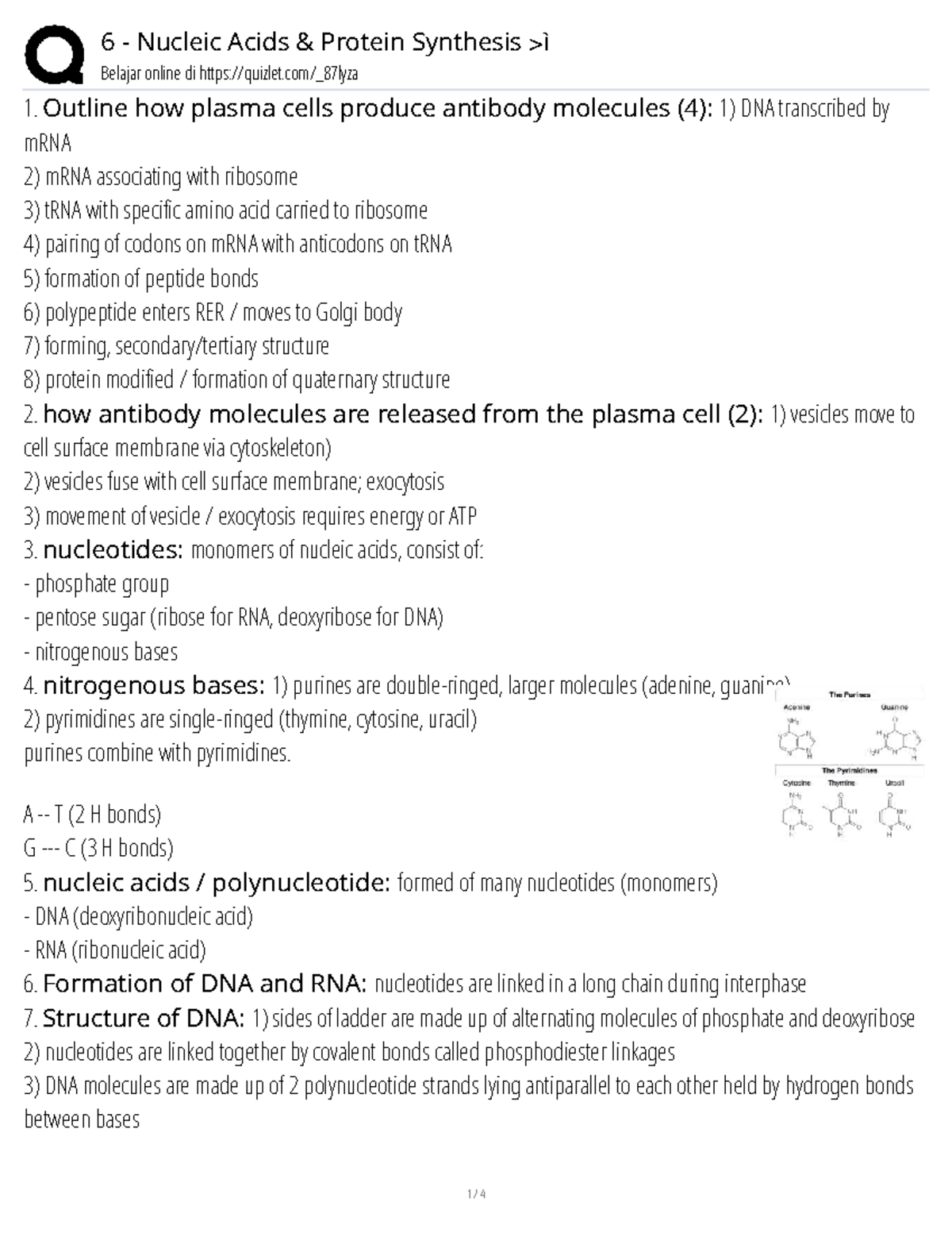 6 Nucleic Acids & Protein Synthesis: Key Concepts & Processes - Studocu