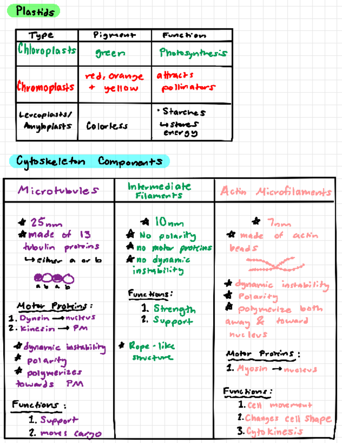 Cell 1010 Chapter 4 - Notes on Plastids and Cytoskeleton Functions ...