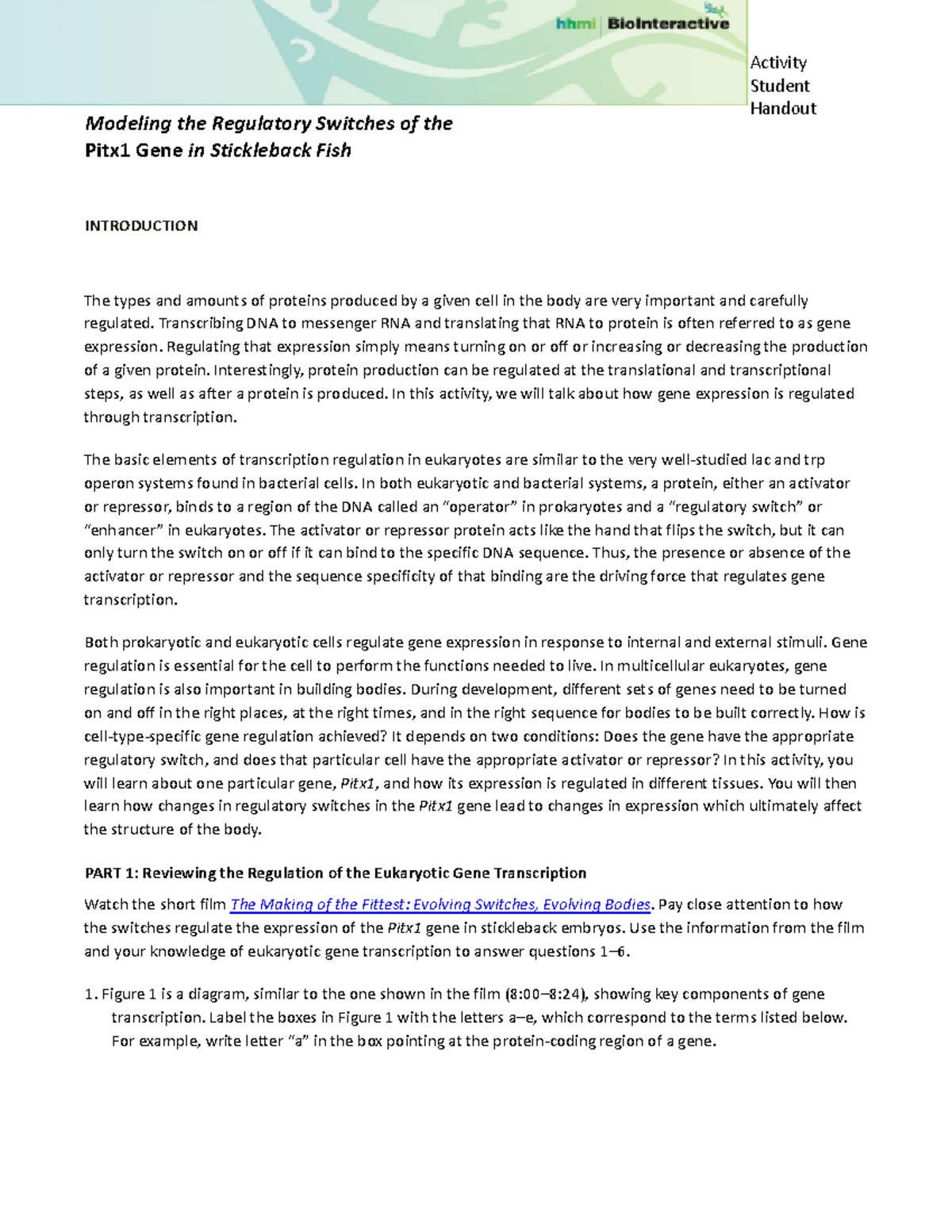 HHMI - Pitx1 Gene Regulation Models in Stickleback Fish: A Study Guide ...