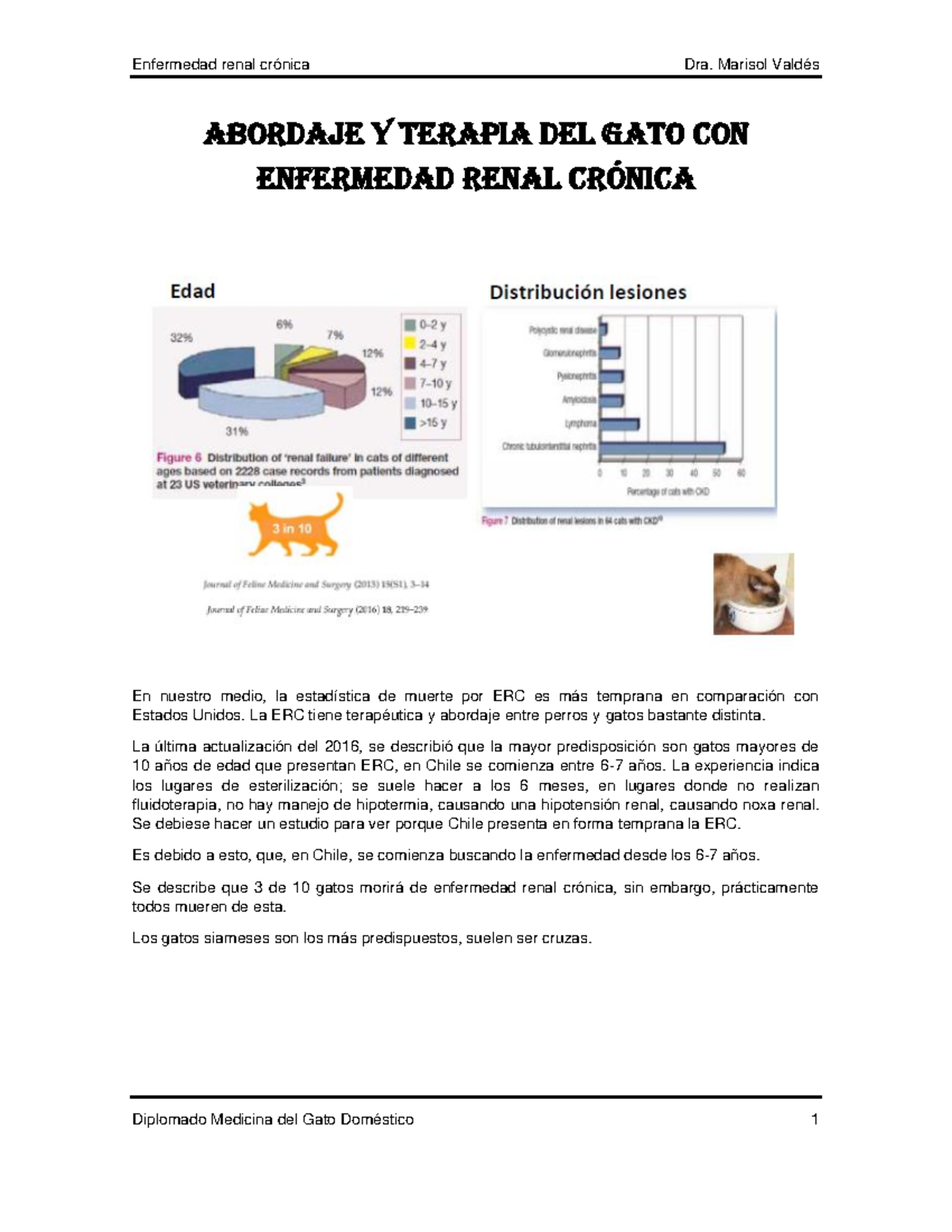 (7) ERC - Abordaje y Diagnóstico de la Enfermedad Renal Crónica en ...