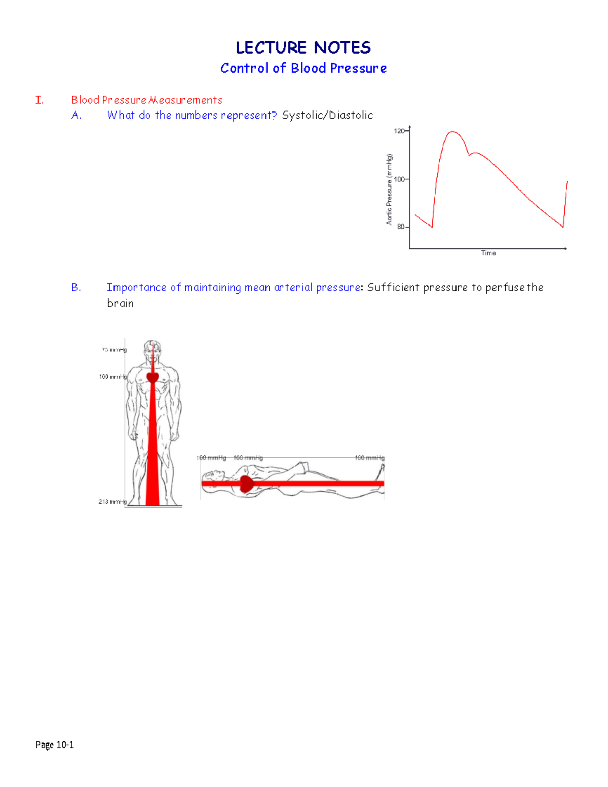 BS 302 Lecture Notes: Control of Blood Pressure Overview - LECTURE ...