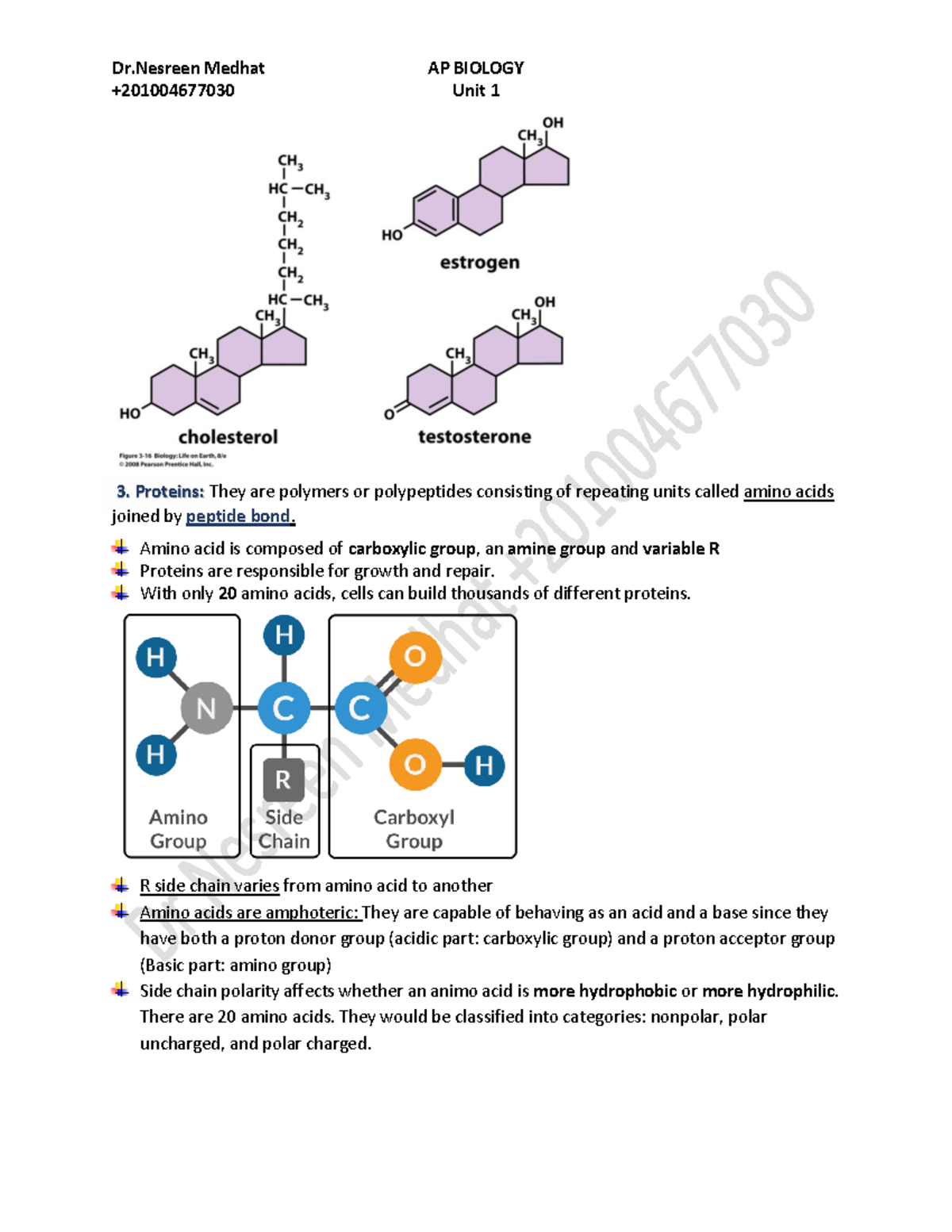 AP BIOLOGY Unit 1: Proteins and Nucleic Acids Overview - Studocu
