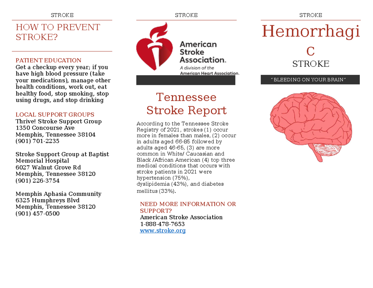 STROKE 101: Understanding Hemorrhagic Stroke & Prevention Tips - Studocu