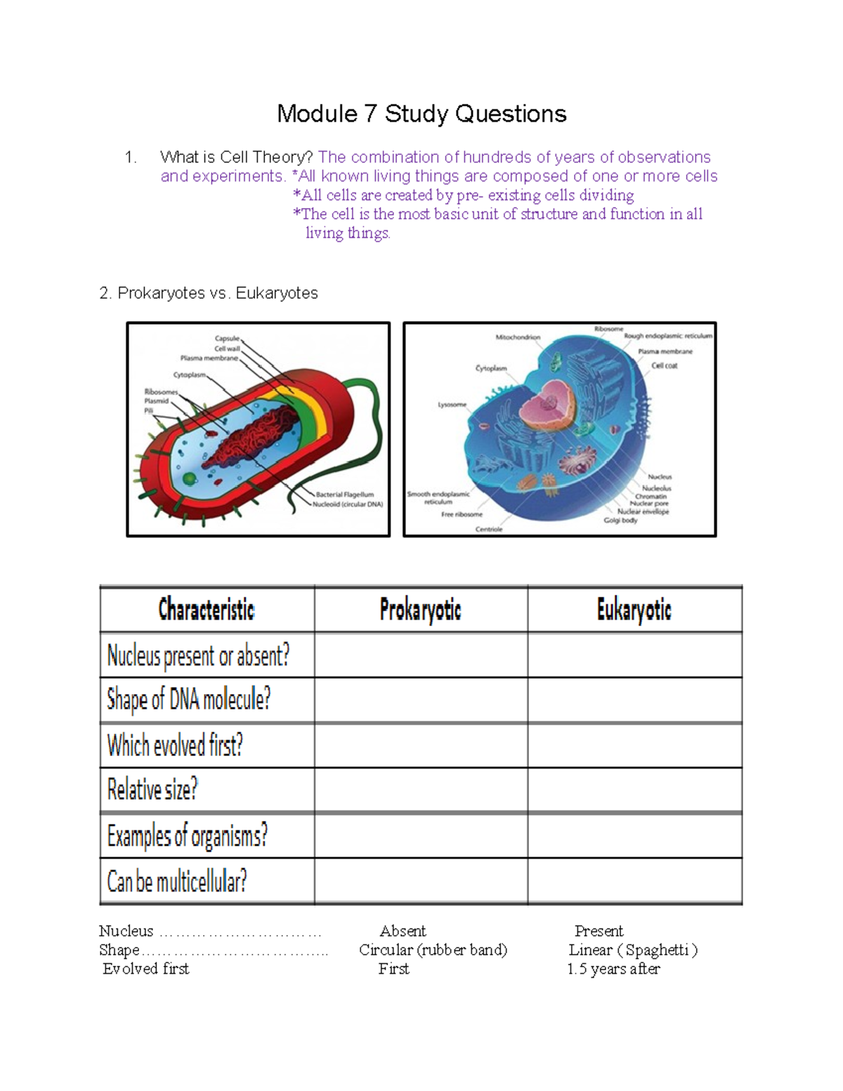 Module 7 study guide - Module 7 Study Questions What is Cell Theory ...