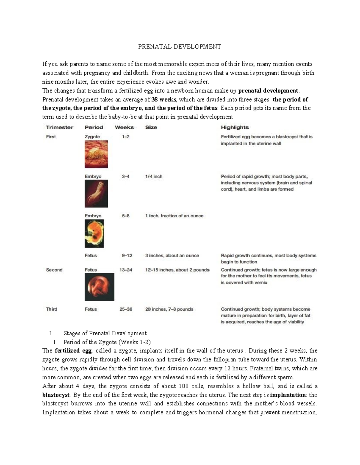 Chapter 4- Prenatal Development - PRENATAL DEVELOPMENT If you ask ...