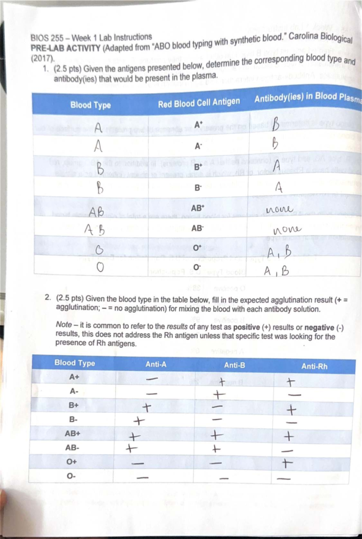 BIOS 255 Week 1 Lab: Blood Typing and Agglutination Analysis - Studocu