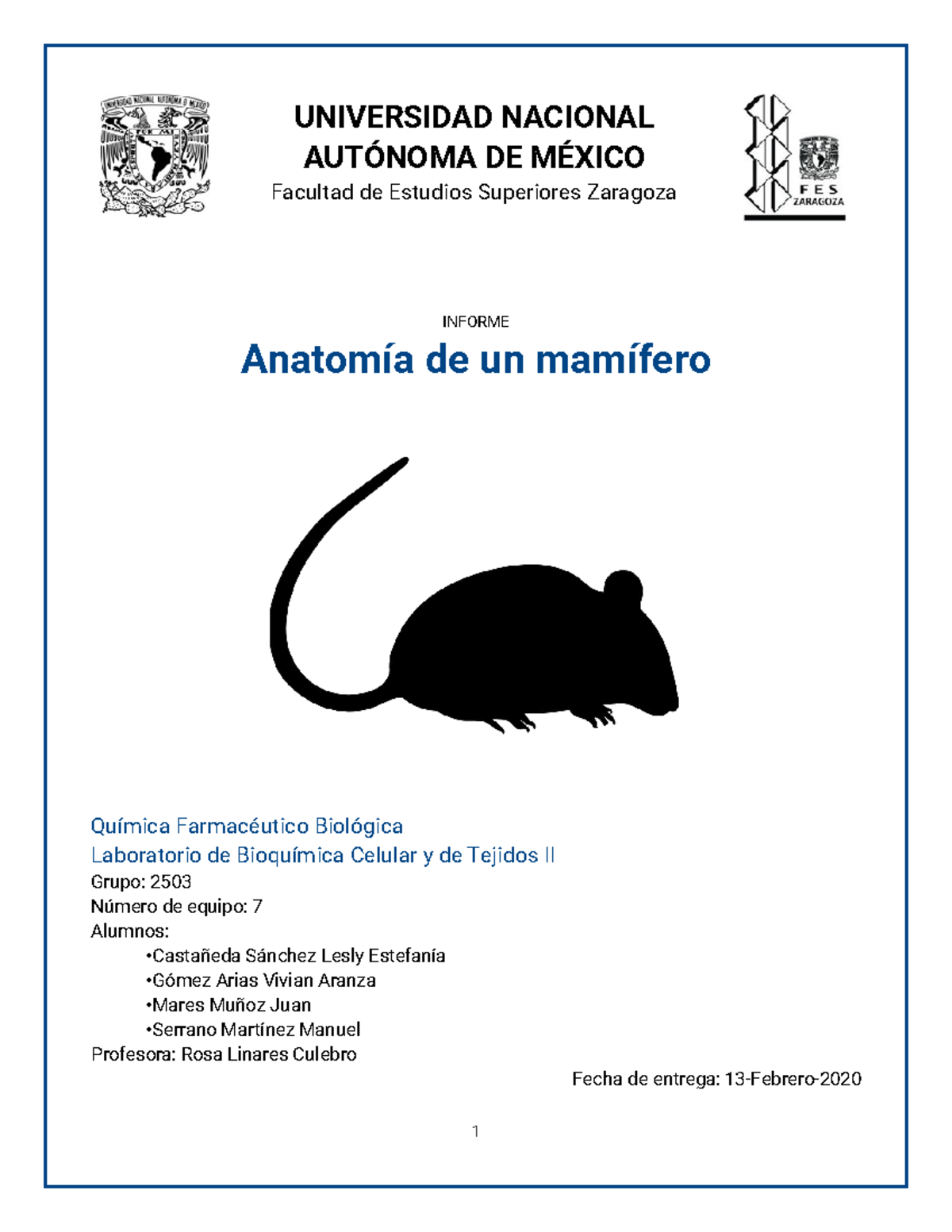 Disección De La Anatomía Del Ratón Disección De La Rata De