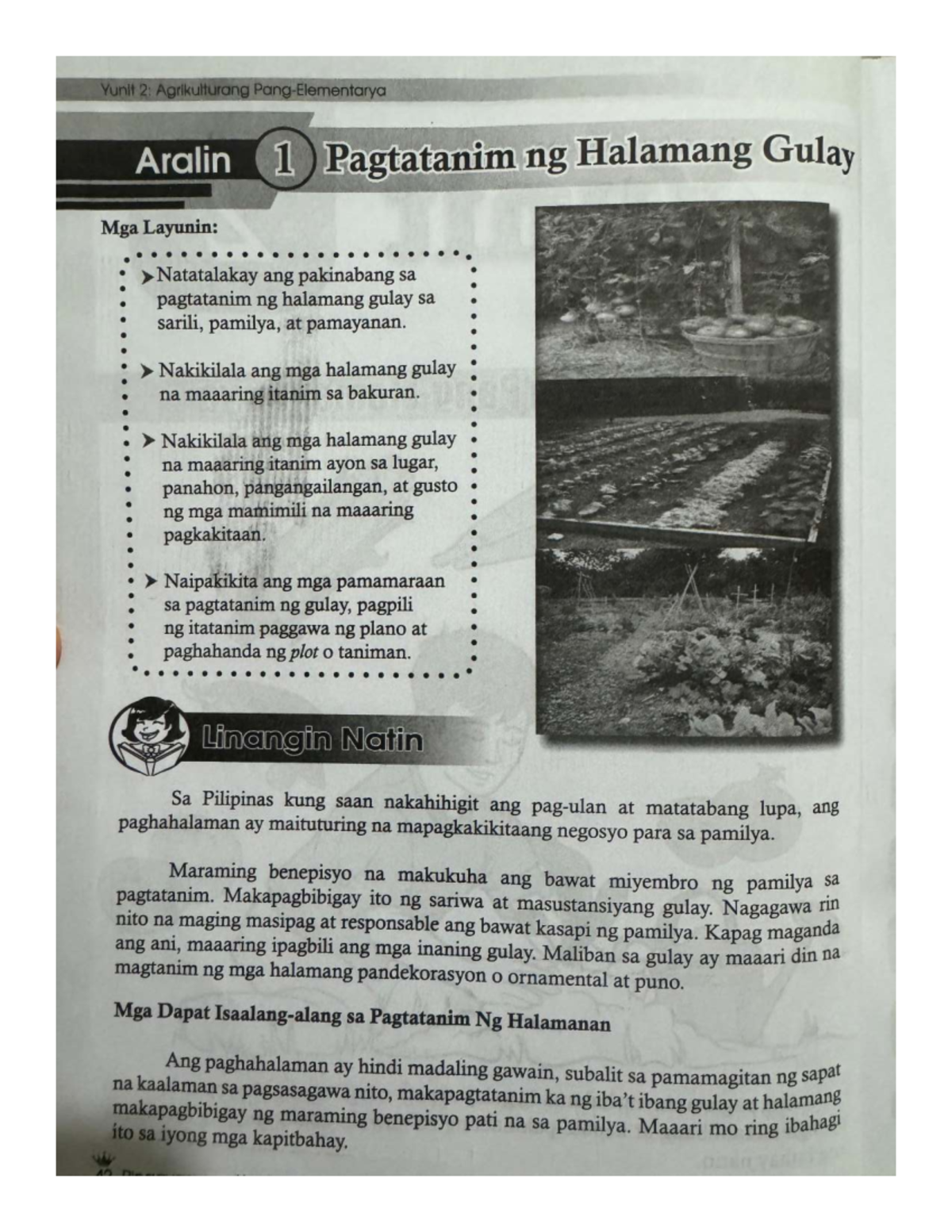 Q2 Lesson 1: Pagtatanim ng Halamang Gulay at mga Benepisyo - Studocu