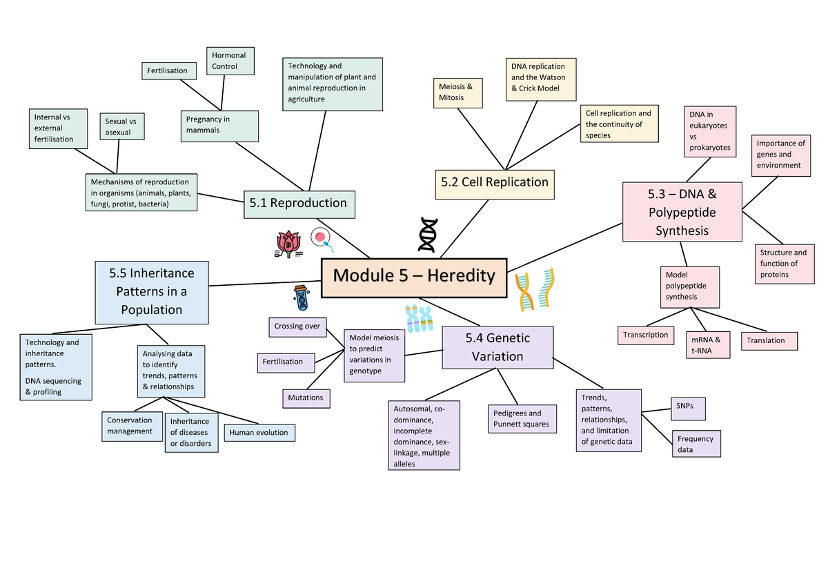 Module 5 Biology Mind Map: Cell Replication & Heredity Concepts - Studocu