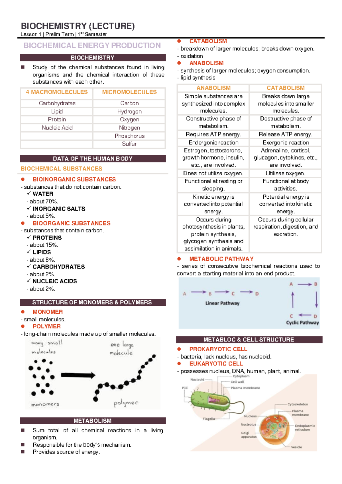 BIOCHEMISTRY (LECTURE) Lesson 1 Prelim Term 1st Sem: Biochemical Energy ...
