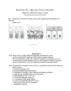 ECB4 Question Bank Ch08 - ESSENTIAL CELL BIOLOGY, FOURTH EDITION ...