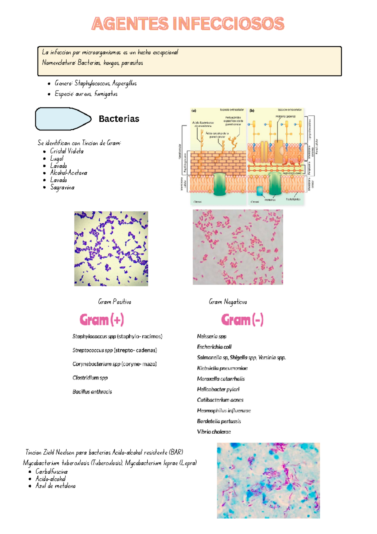 Agentes Infecciosos resumen - AGENTES INFECCIOSOSAGENTES INFECCIOSOS La ...