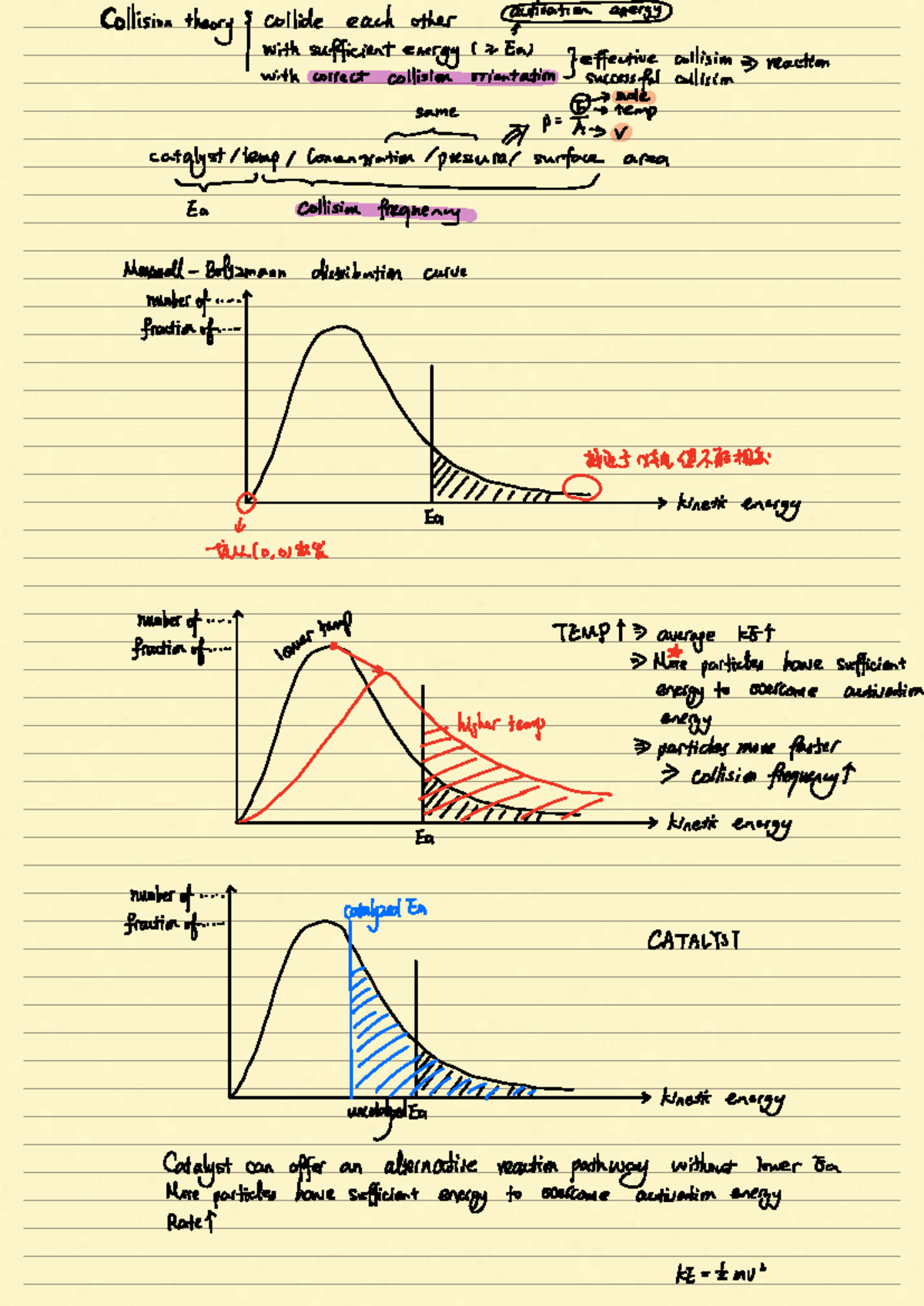 Kinetics and Equilibrium Study Notes (Course Code: 6:28) - Studocu