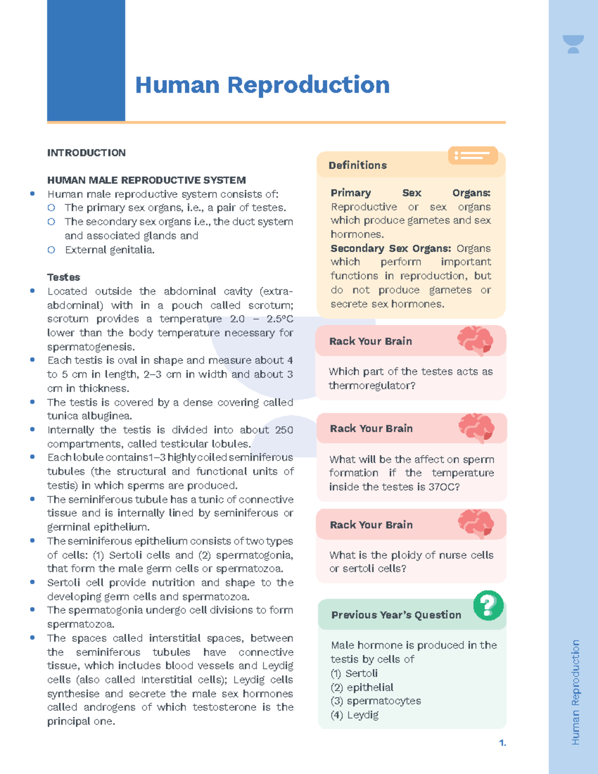 Human-Reproduction 12 - Human Reproduction Human Reproduction ...