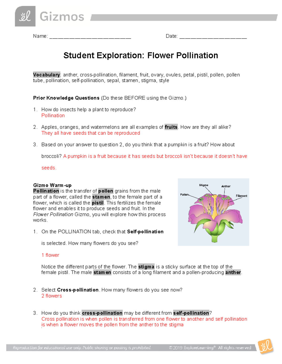 Flower Pollination Exploration: Understanding Self vs. Cross ...