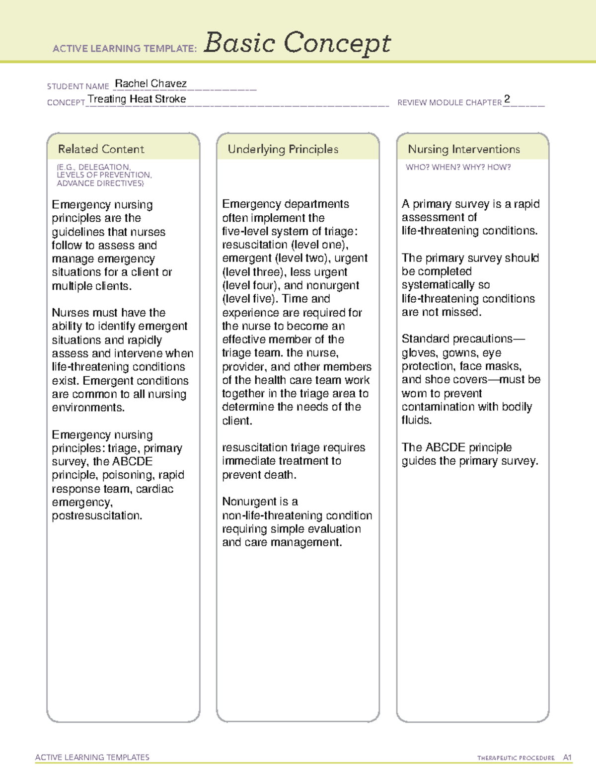 HT-ATI Template: Emergency Nursing Principles & Heat Stroke Management ...