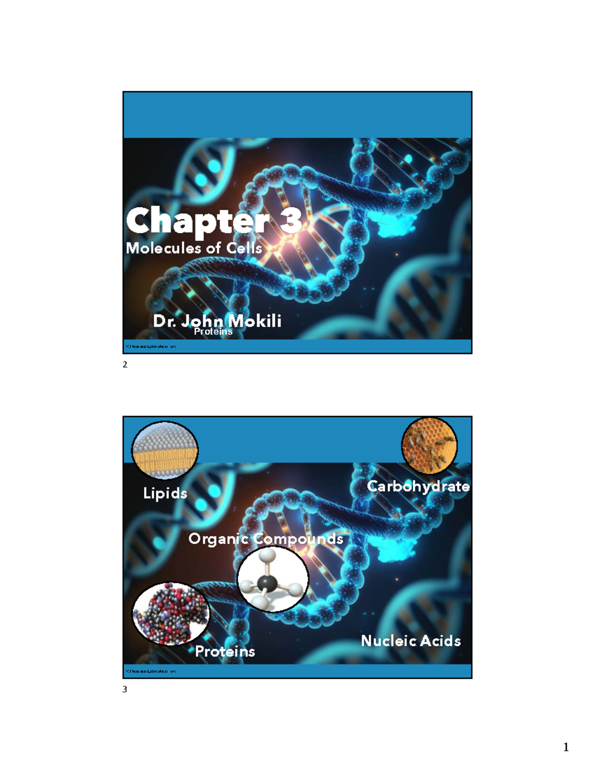 Bio107.Fall2024 - Chapter 3: Molecules of Cells and Organic Compounds ...