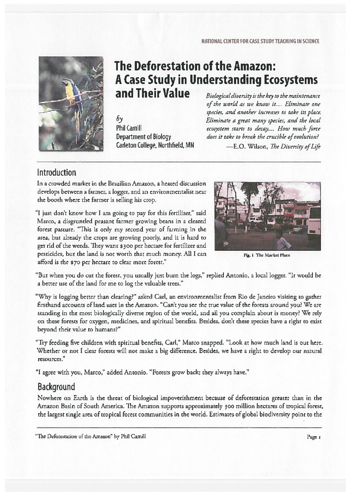 Deforestation of the Amazon: Economic & Environmental Impacts (BIO 101 ...