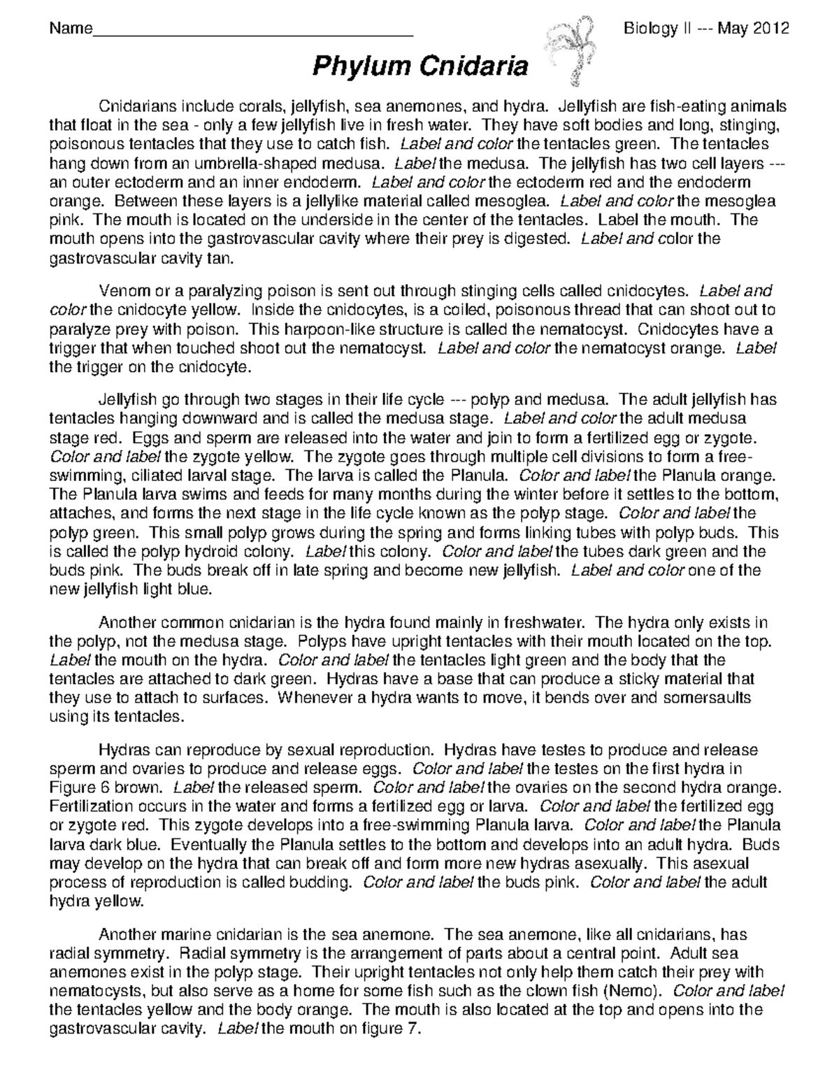 Biology II: 5-2 Cnidaria Coloring Worksheet and Labeling Guide - Studocu
