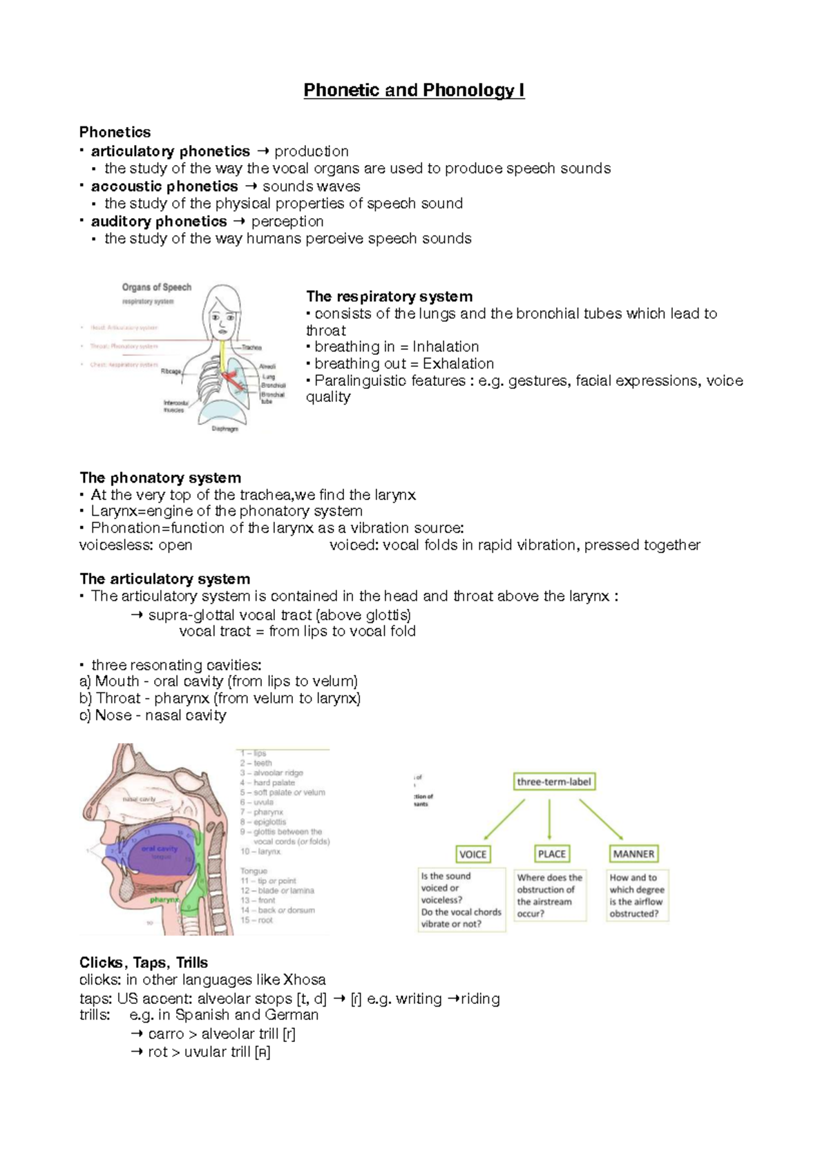 Phonetics and Phonology I-IV: Comprehensive Study Notes - Studocu