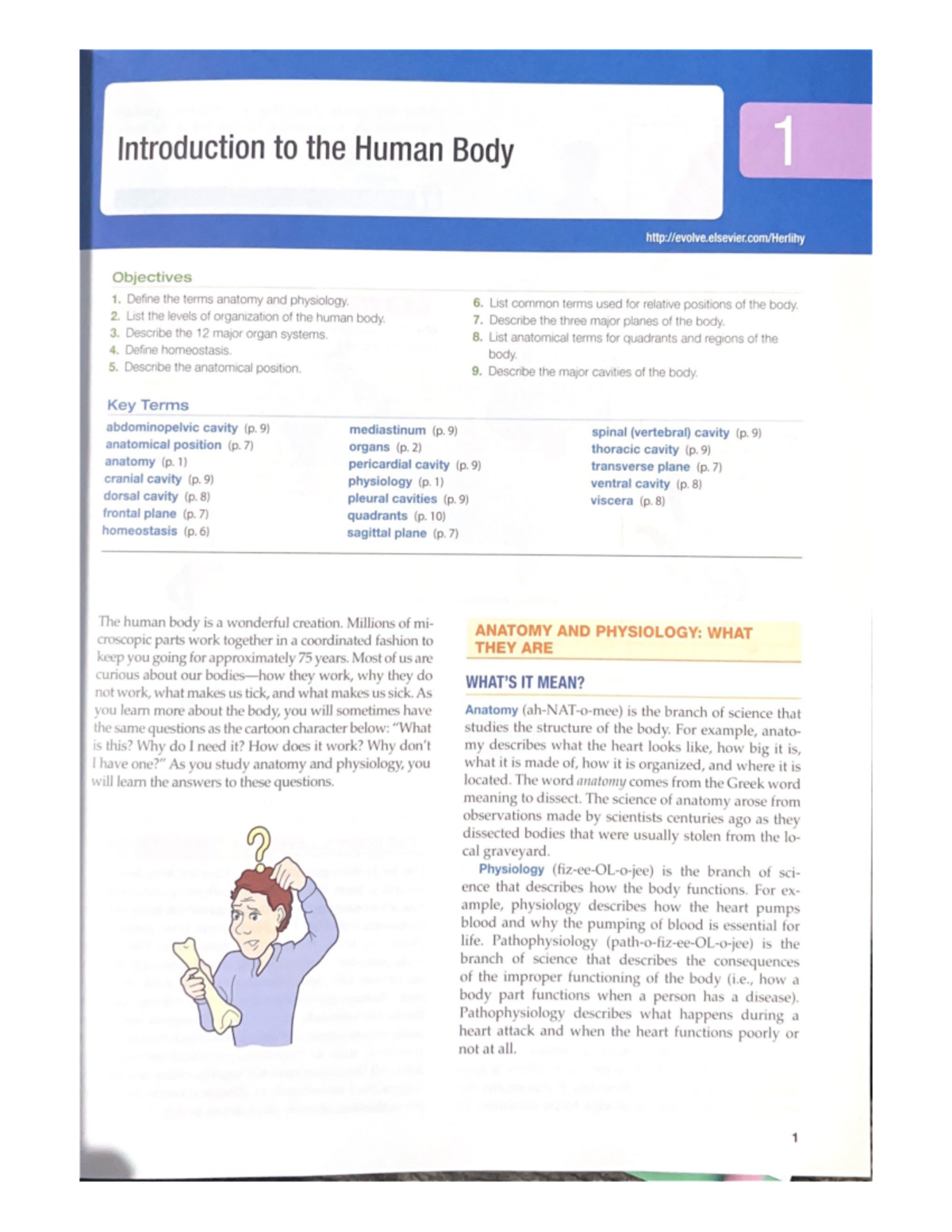 Introduction to the Human Body - Define the terms anatomy and ...