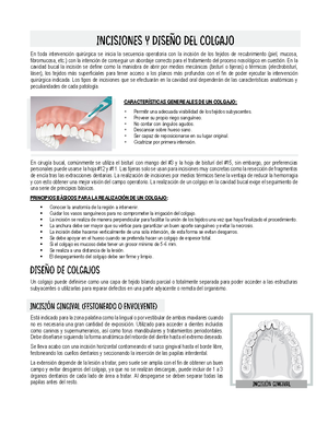 Anatomía topográfica región labial - Región Labial 1. Limites Arriba ...