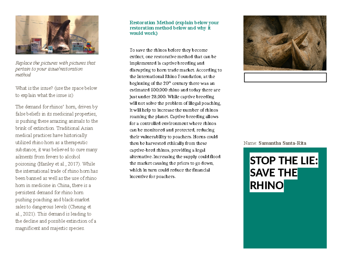 Brochure template (1) - Replace the pictures with pictures that pertain ...