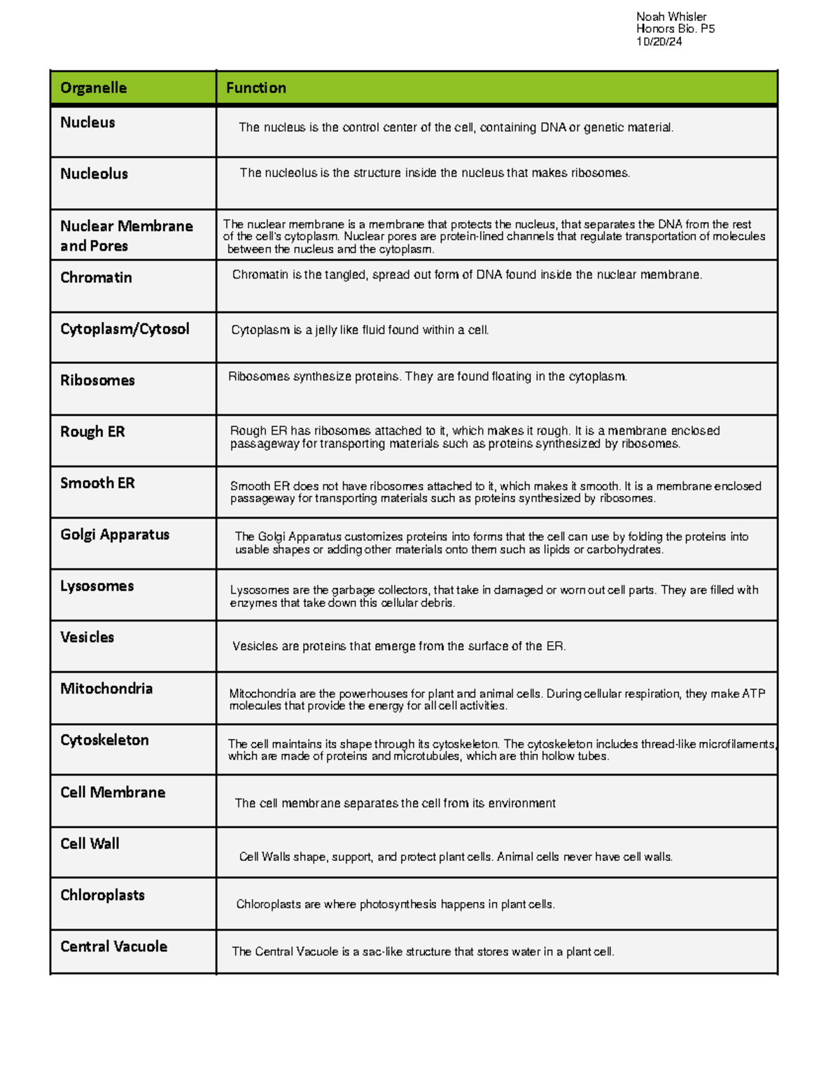 Honors Bio P5: Cell Structure & Function Overview 2024-2025 - Studocu