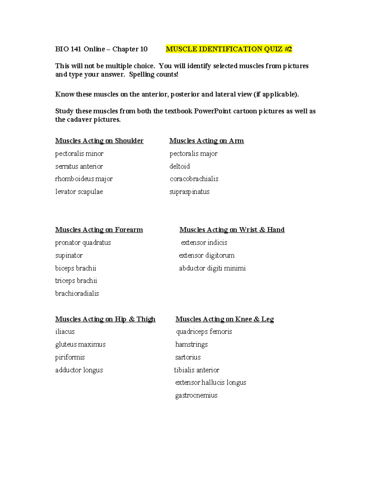 BIO 141 Online Muscle Identification Quiz Review - Studocu
