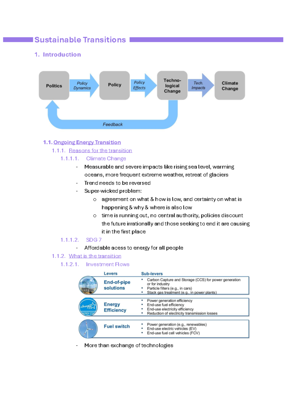 Sustainable Transitions: Summary of Key Concepts and Innovations - Studocu