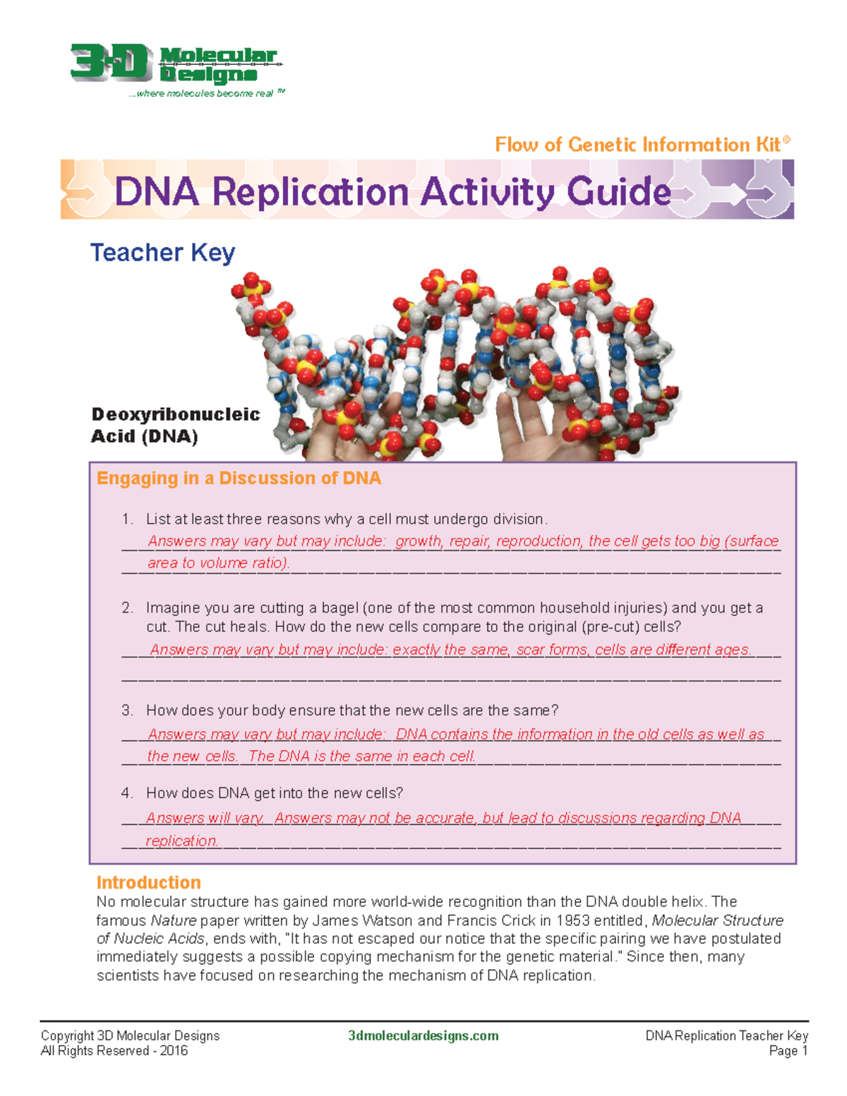 DNA Replication Activity Guide Teacher Key (BIO 101) - Studocu