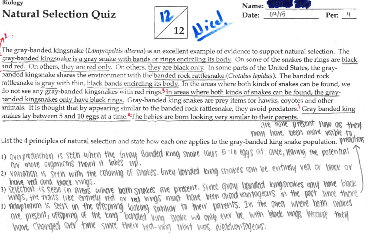 Natural Selection Quiz - Studocu