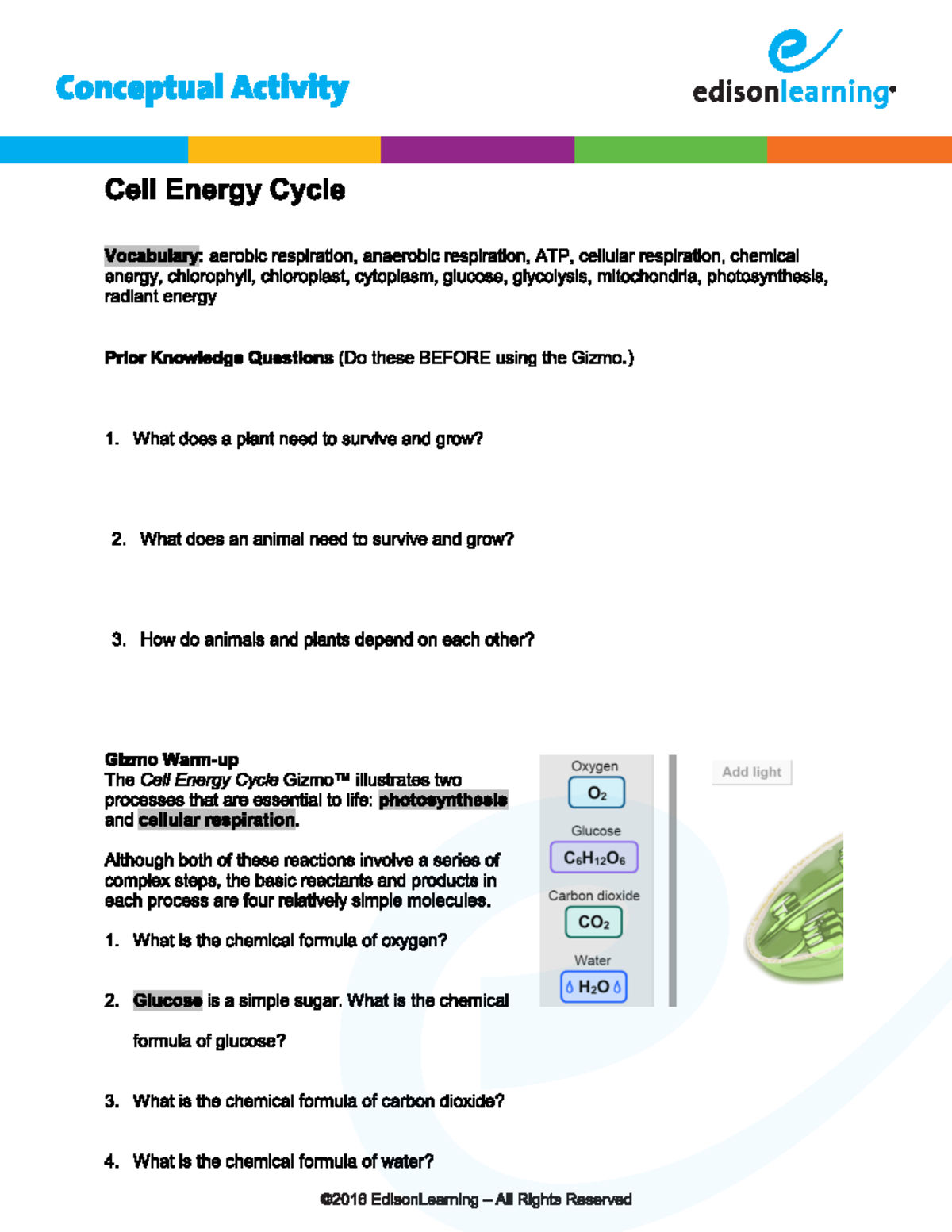 Httpsmediacdn.edisonlearning.com HSSC 2015 .Concept.SC.XBiology EDHS ...